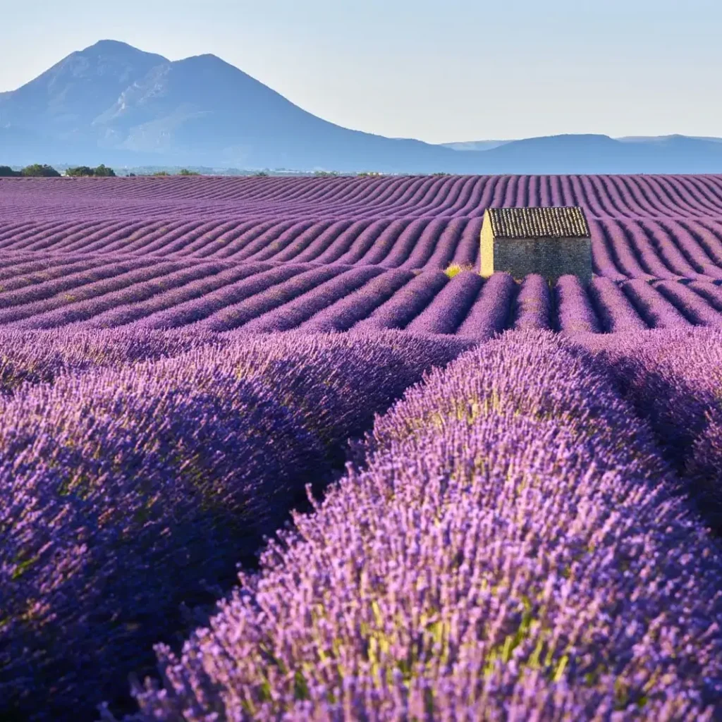 ¡Road trip por la Provenza francesa! - Hotbook Travel